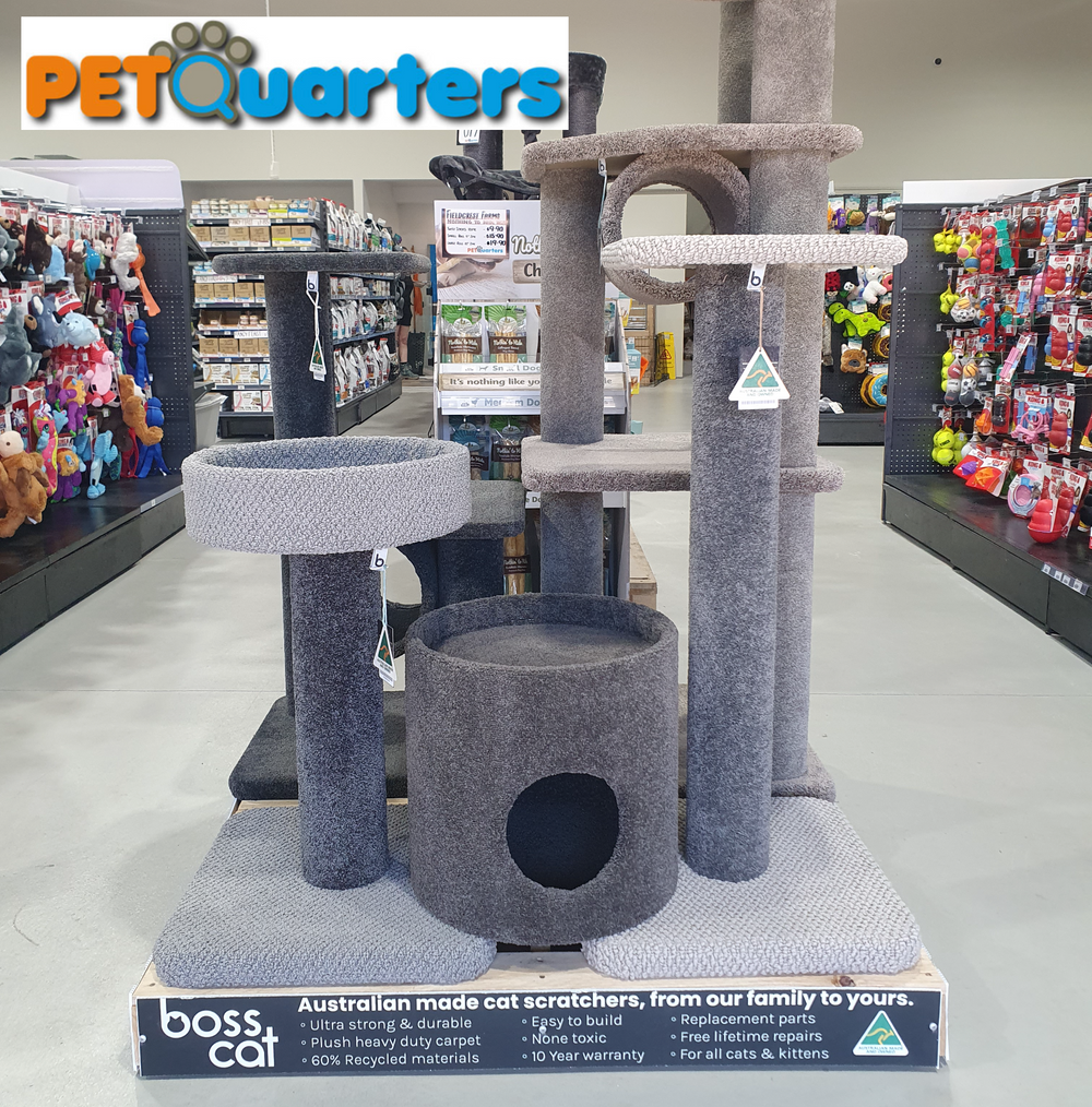 Cat & Kitten Scratching Posts – Bosscat